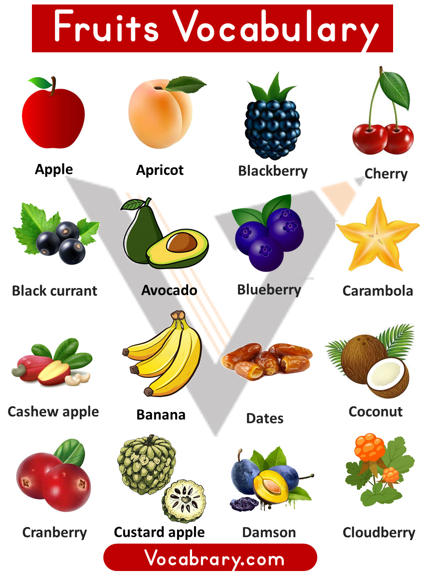 100+ Fruits Names with Pictures - Vocabrary
