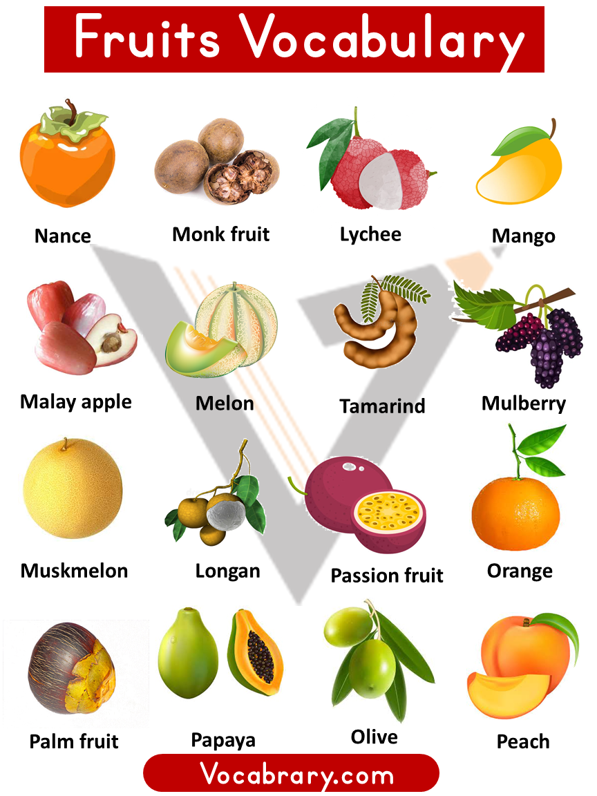 100+ Fruits Names with Pictures - Vocabrary